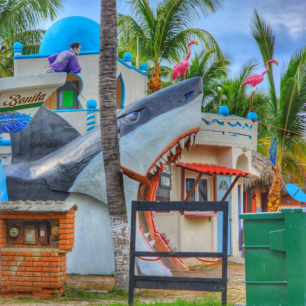 Paco el Sharko, Zicatela, México - Land of the Bigs