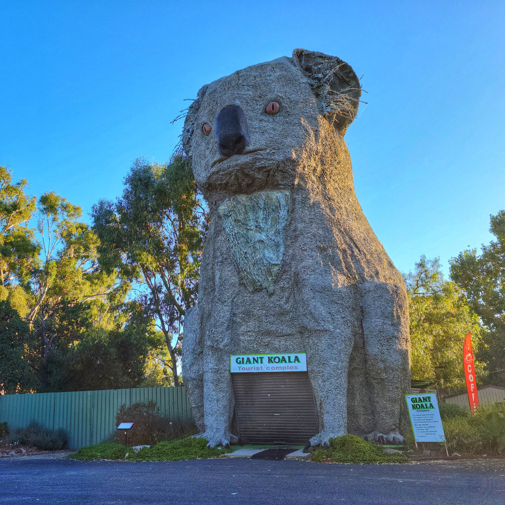 The Giant Koala, Dadswells Bridge, VIC - Land of the Bigs