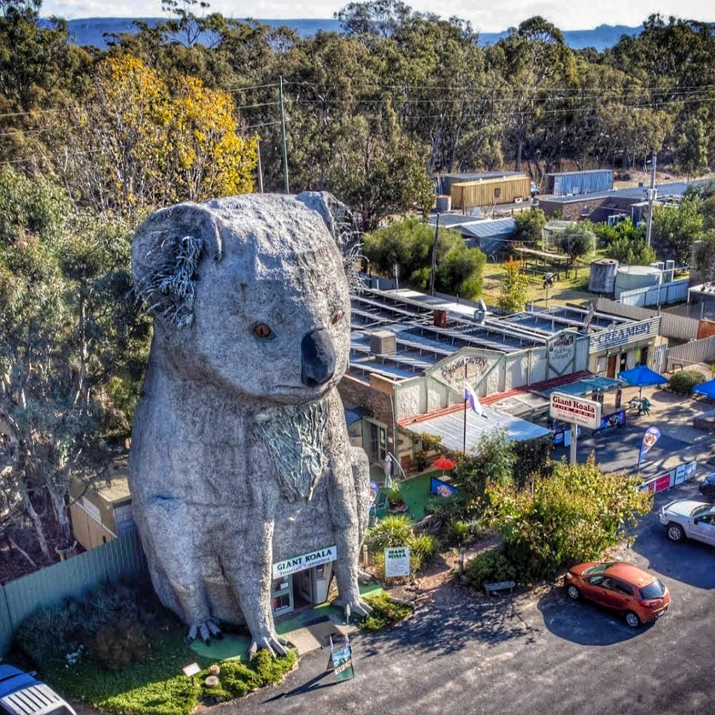 The Giant Koala, Dadswells Bridge, VIC - Land of the Bigs