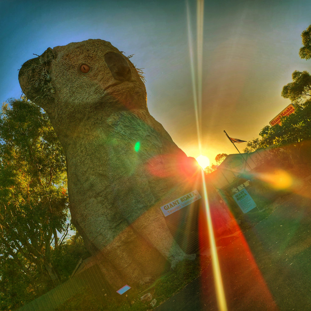 The Giant Koala, Dadswells Bridge, VIC - Land of the Bigs