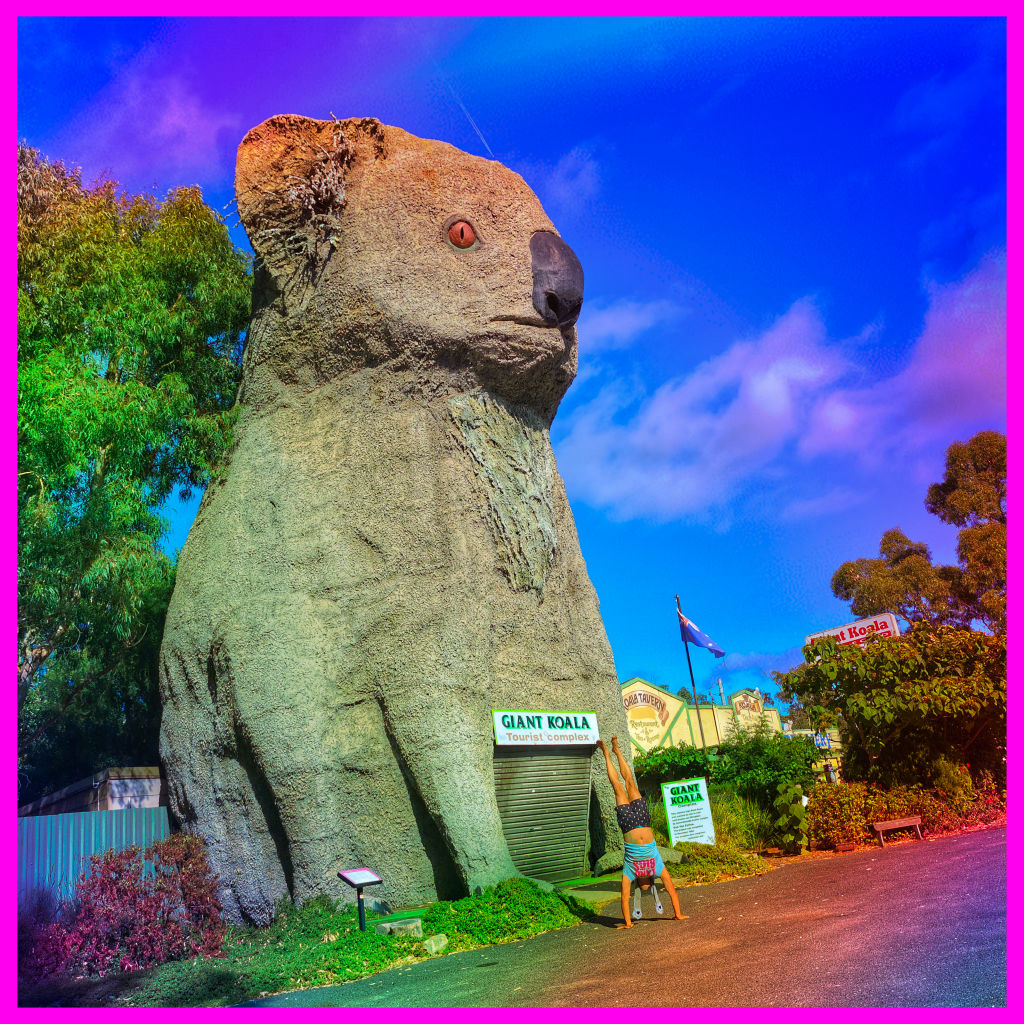 The Giant Koala, Dadswells Bridge, VIC - Land of the Bigs