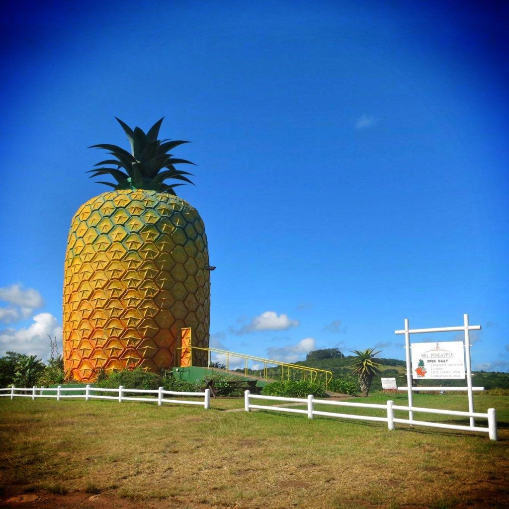 The Big Pineapple, Bathurst, South Africa - Land of the Bigs