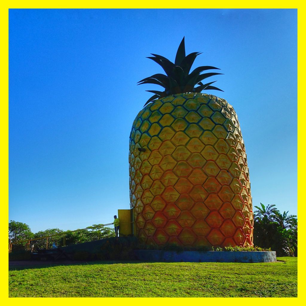The Big Pineapple, Bathurst, South Africa - Land of the Bigs