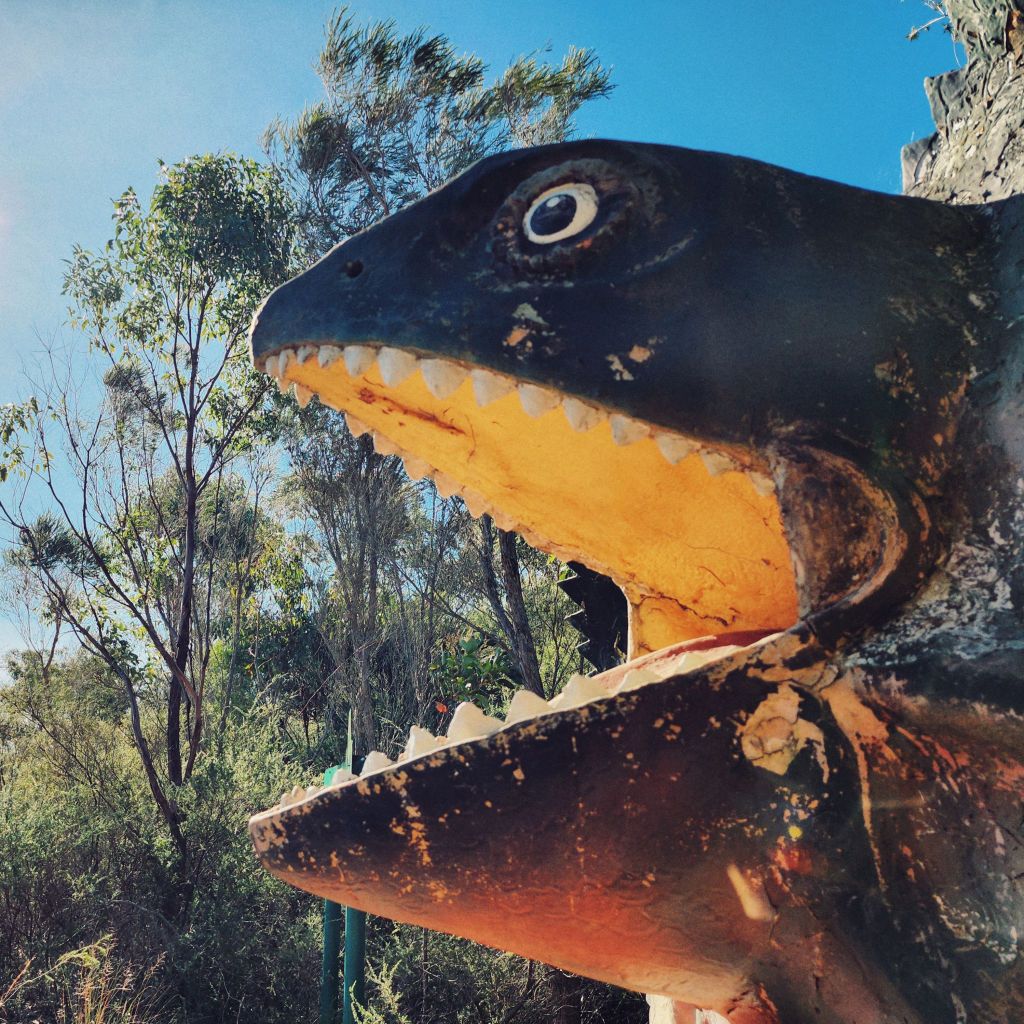 Lizzo the Lizard, Somersby, NSW - Land of the Bigs