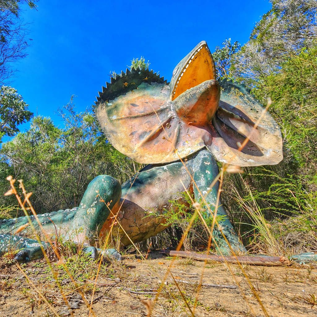Lizzo the Lizard, Somersby, NSW - Land of the Bigs