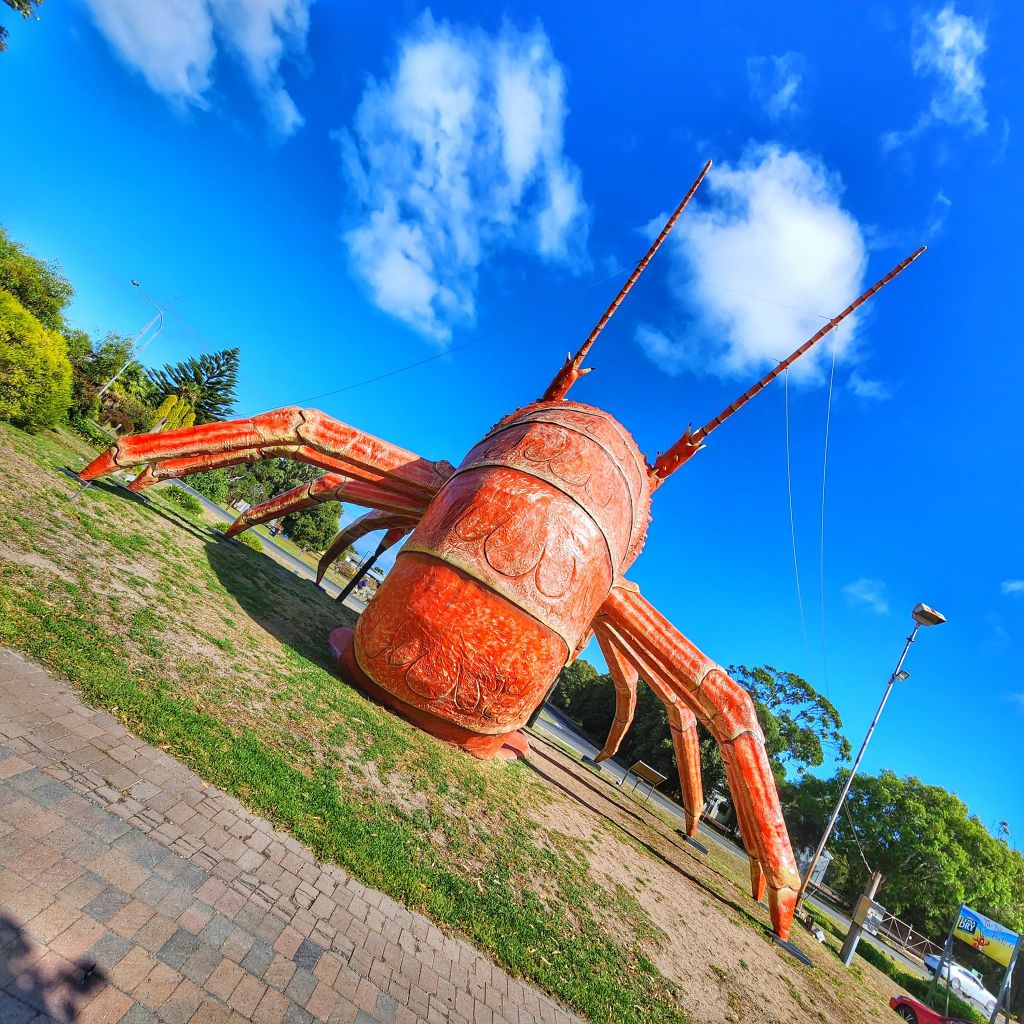 Larry the Lobster, Kingston SE, SA - Land of the Bigs