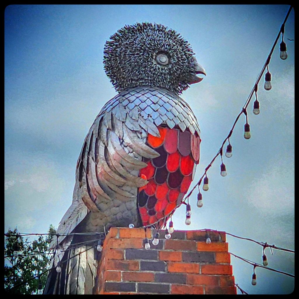 El Quetzal, Ciudad de Guatemala - Land of the Bigs