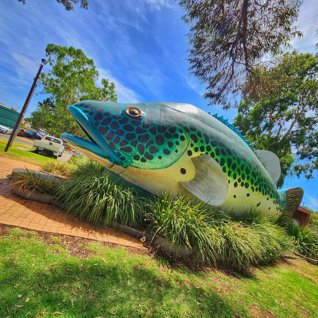Arnold the Giant Murray Cod, Swan Hill, Vic