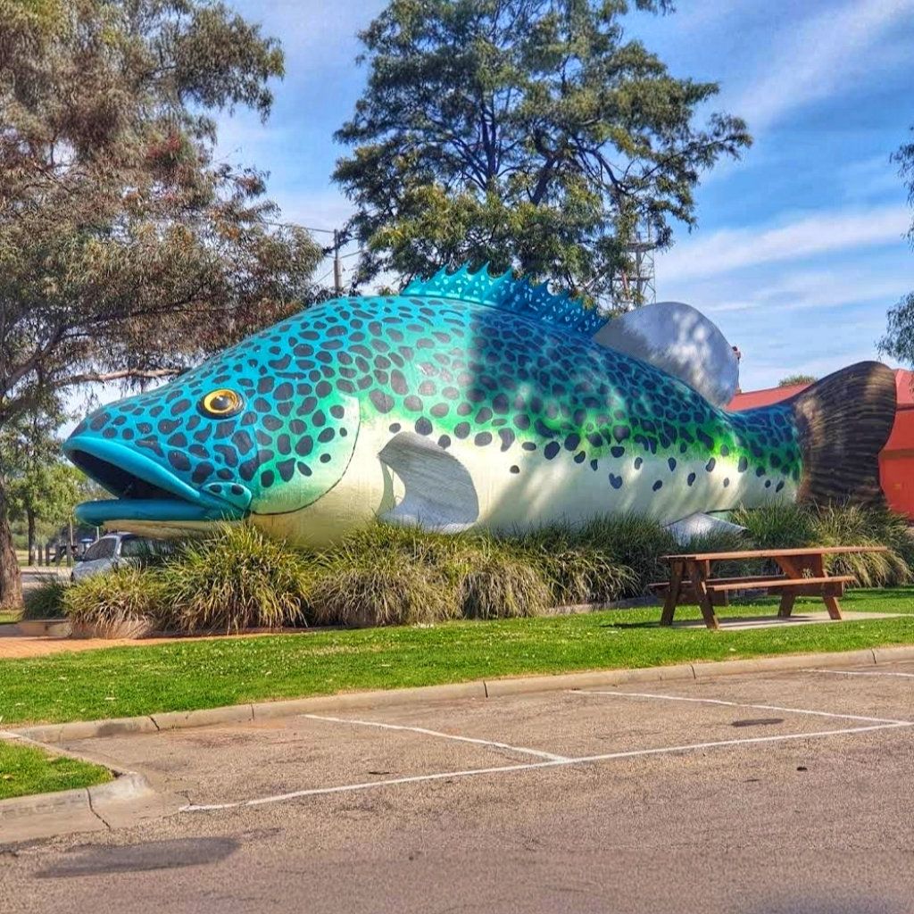 Arnold the Giant Murray Cod, Swan Hill, Vic